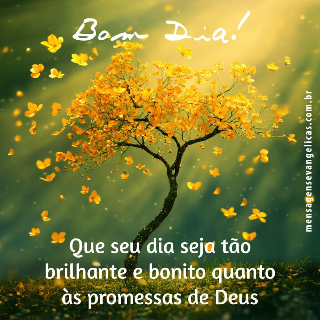 116 Mensagens Evangélicas de Bom Dia Com Lindas Imagens