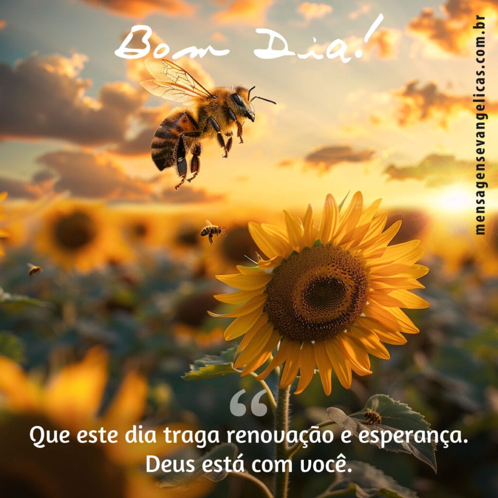116 Mensagens Evangélicas de Bom Dia Com Lindas Imagens